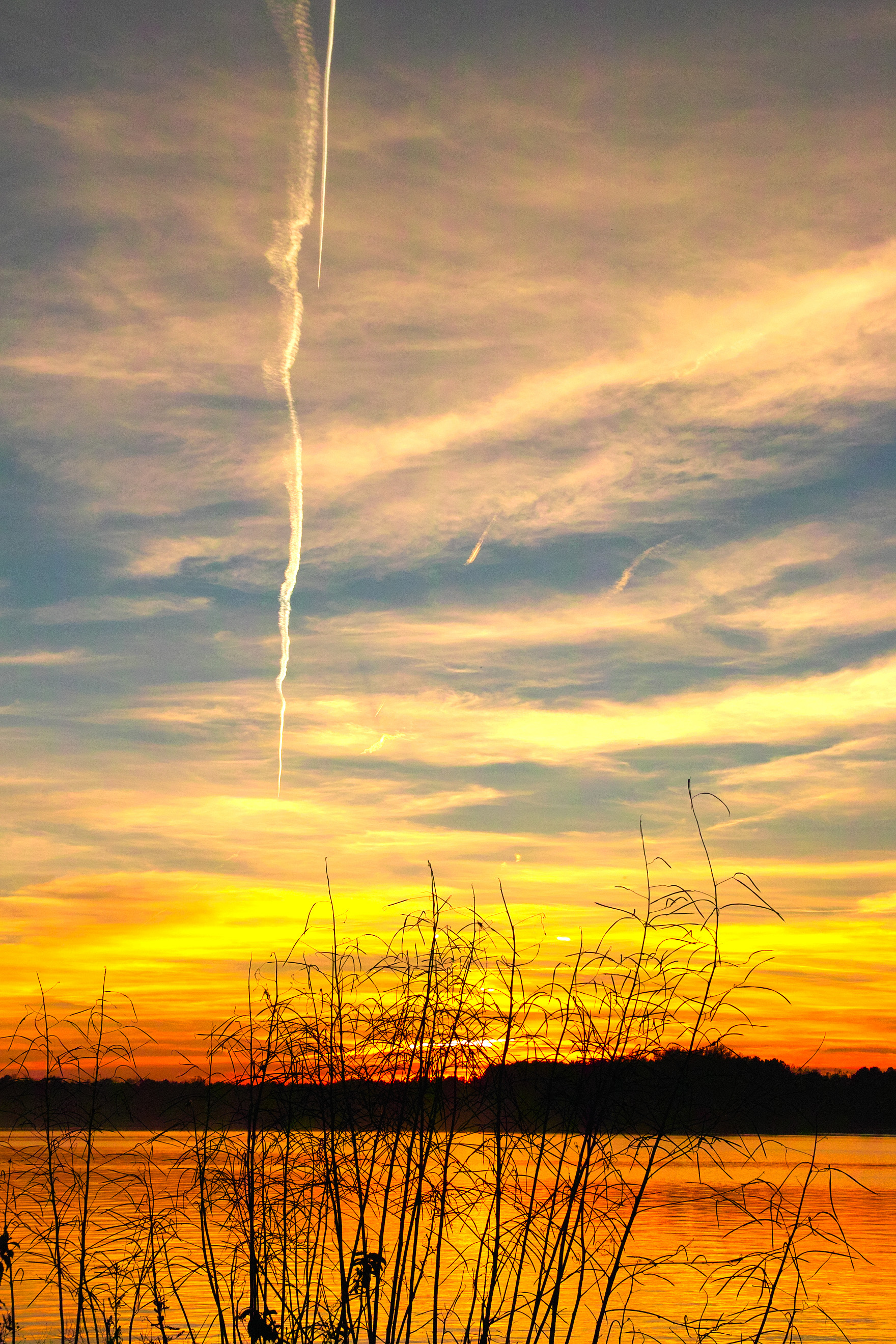 Portrait of Sunset | Shutterbug